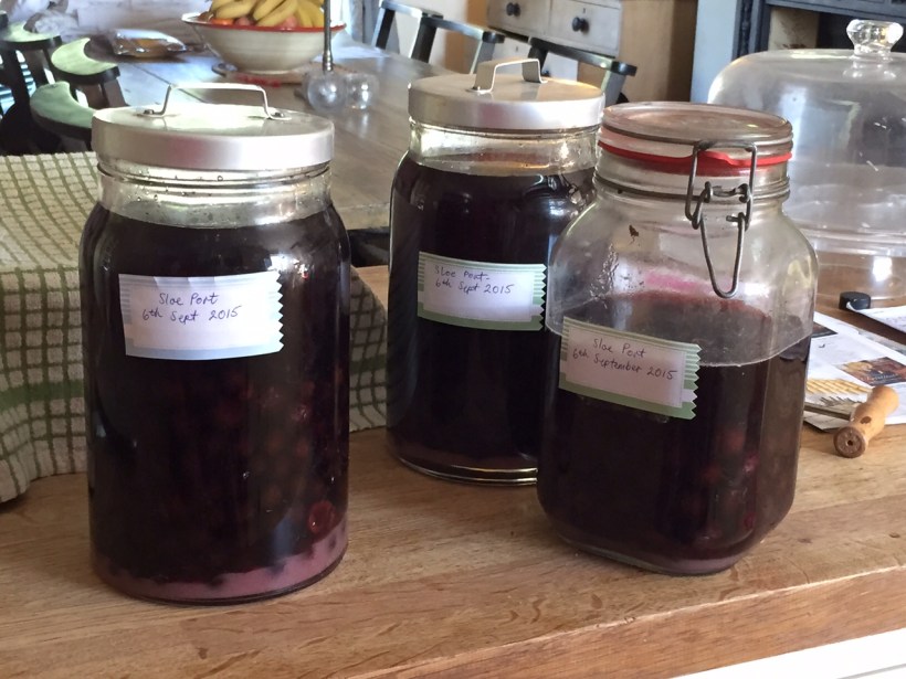 Sunday Sevens #53 | Sewchet