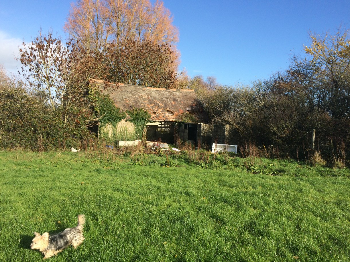 Sewchet | Sewing, crochet, crafts, accessories, baking, tutorials,