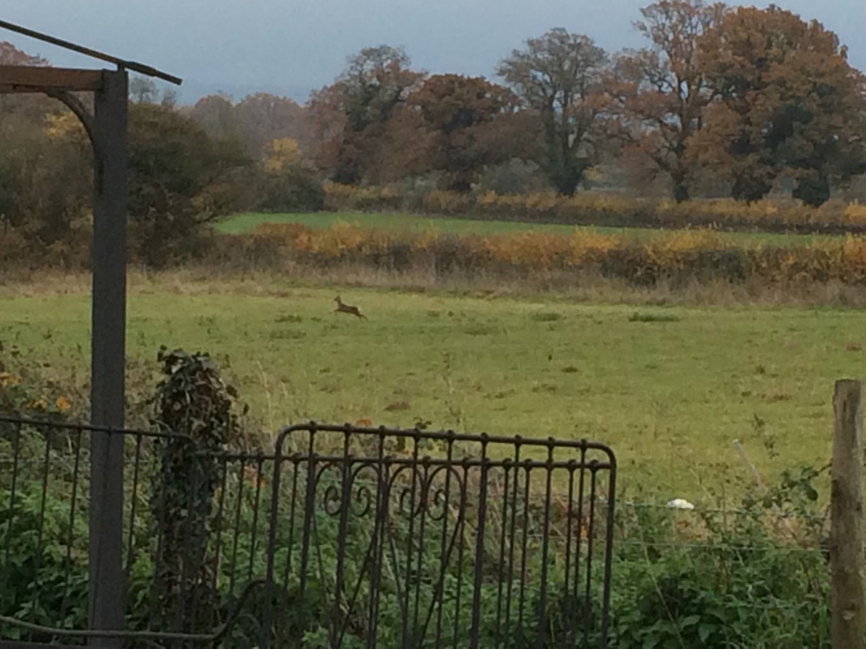 Sewchet | Sewing, crochet, crafts, accessories, baking, tutorials,